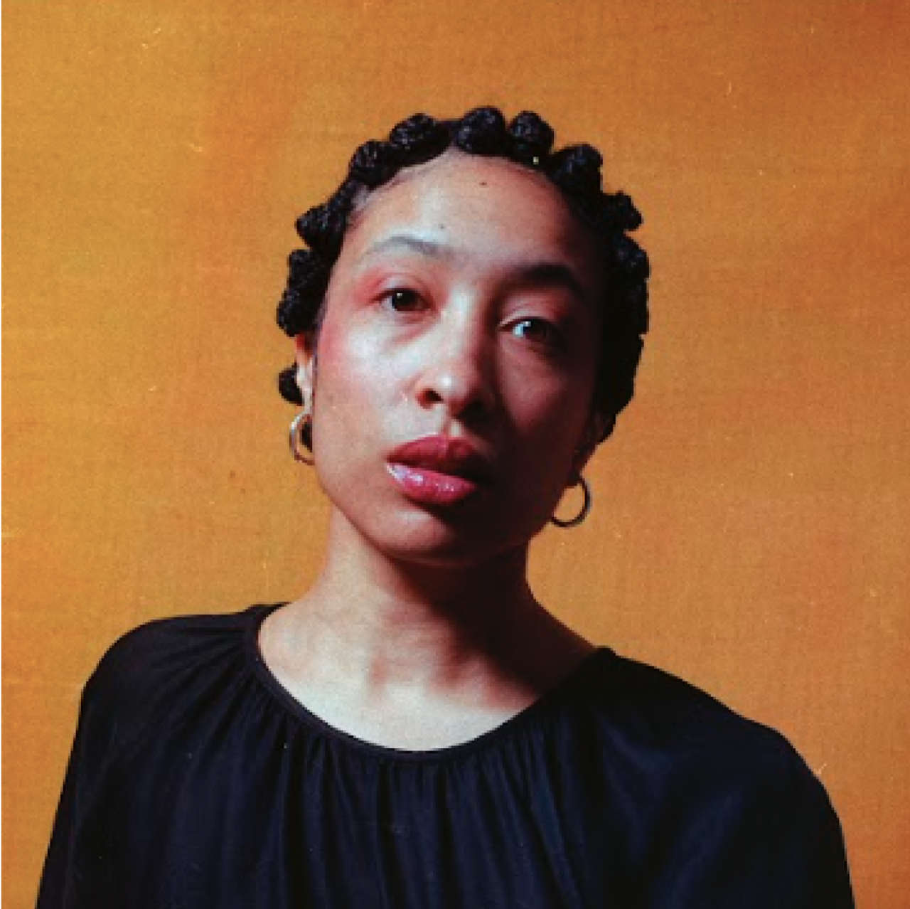 Meet the Team - Hypha Studios