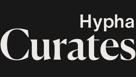 Hypha Curates - Hypha Studios