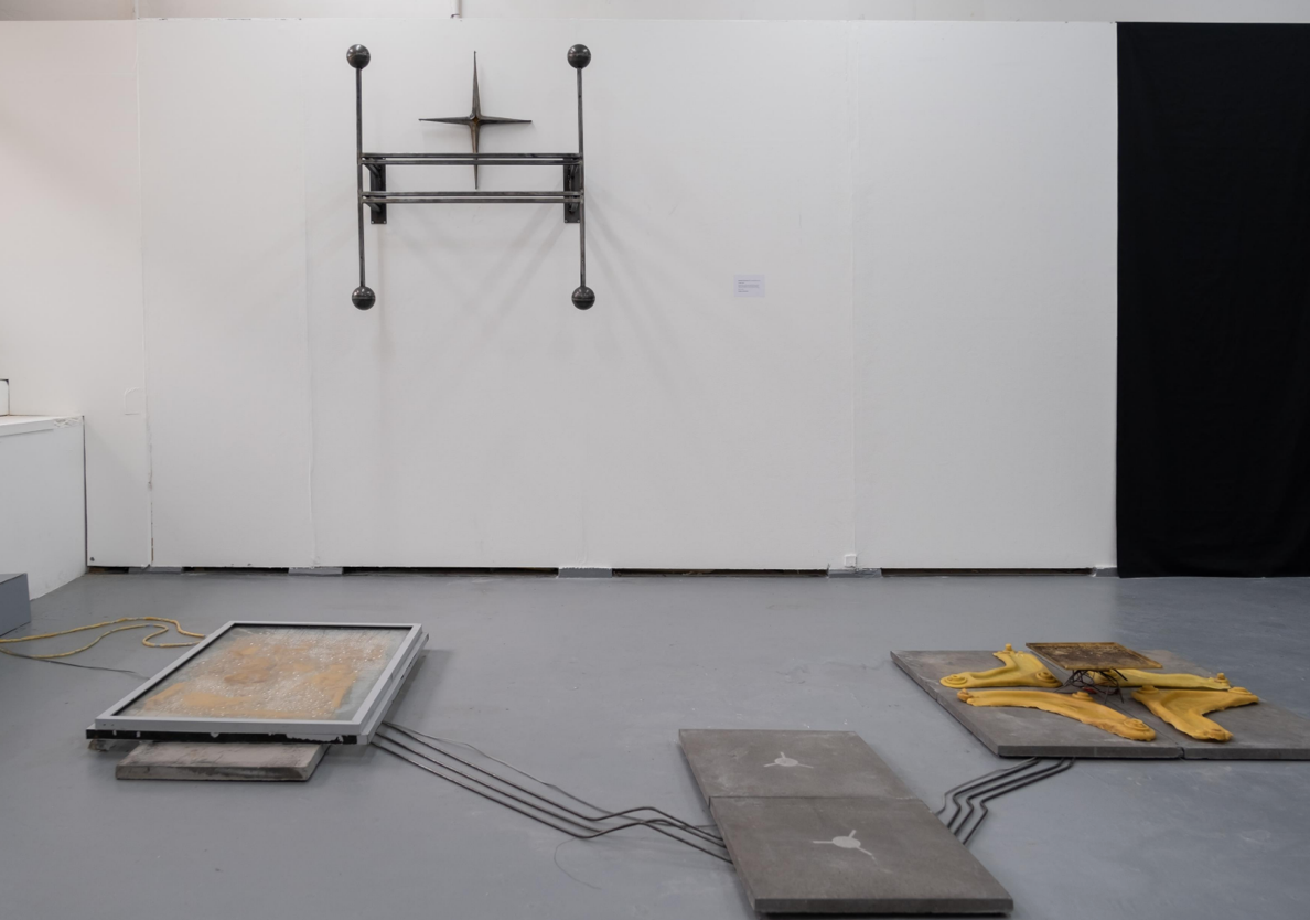 Isis Bird - Hypha Studios